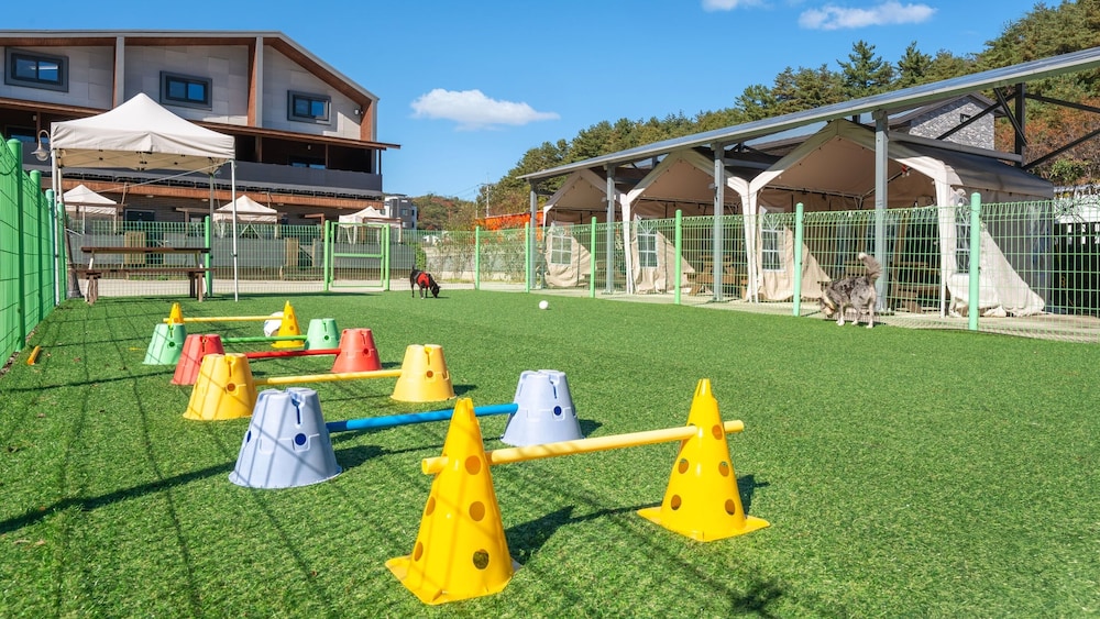 Gangneung Nineone Pet Pension - 江陵