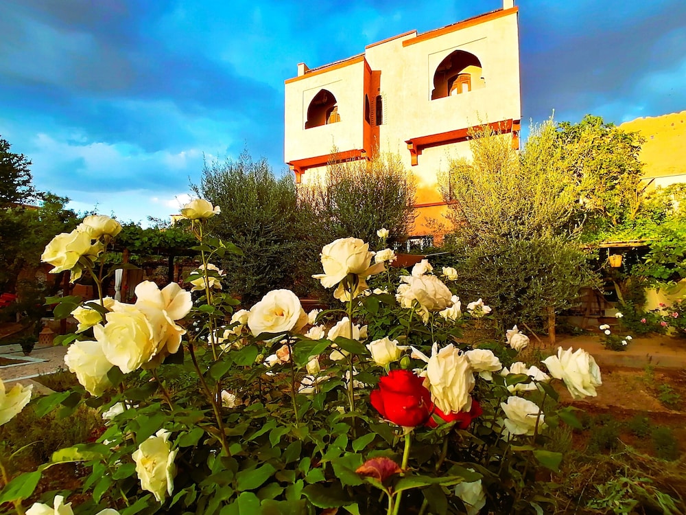 Riad Tazawa - Morocco