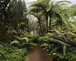 Bangalô clássico | Vista para o jardim