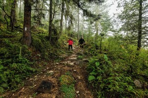 Uma trilha na floresta com caminhantes.