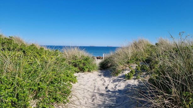Um caminho de areia que leva ao mar, rodeado por vegetação densa.