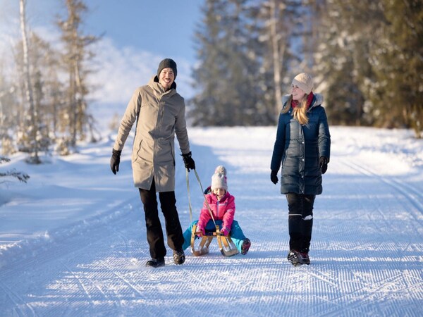 Studio Near The Slopes With Wellness Area - Mittersill