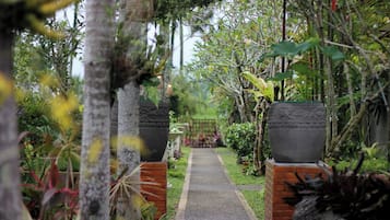 Jardim