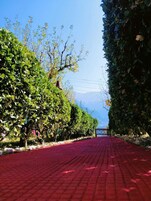 Jardim