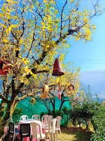 Vista para o jardim