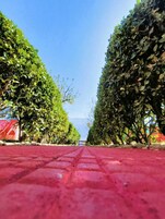 Vista para o jardim