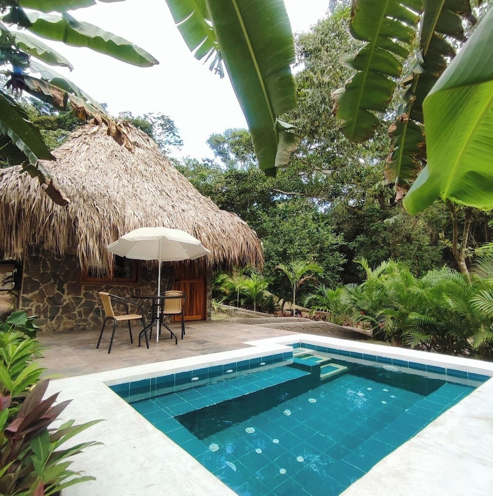 Colibri Parque Tayrona - Caribbean