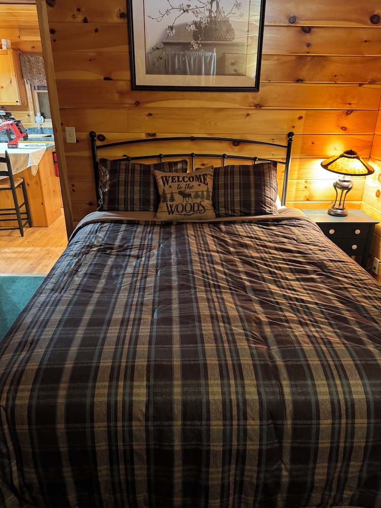 Escape & Enjoy a Cozy 3-bedroom cabin in wonderful Old Forge / Winter ...