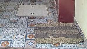 Um corredor estreito com azulejos estampados, uma porta com moldura vermelha e uma pequena janela à esquerda.