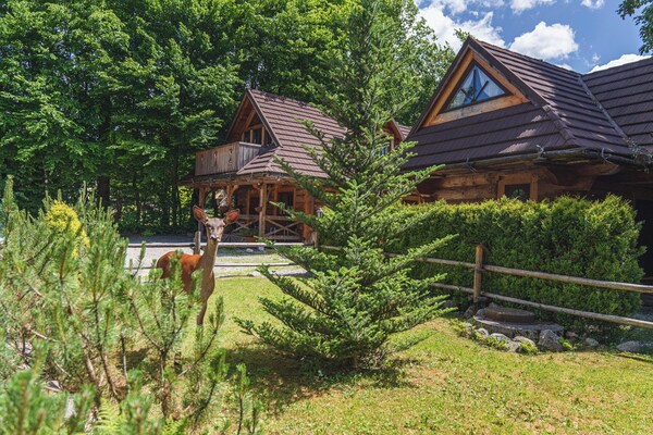 Mountain Shelter Zakopane - Zakopane