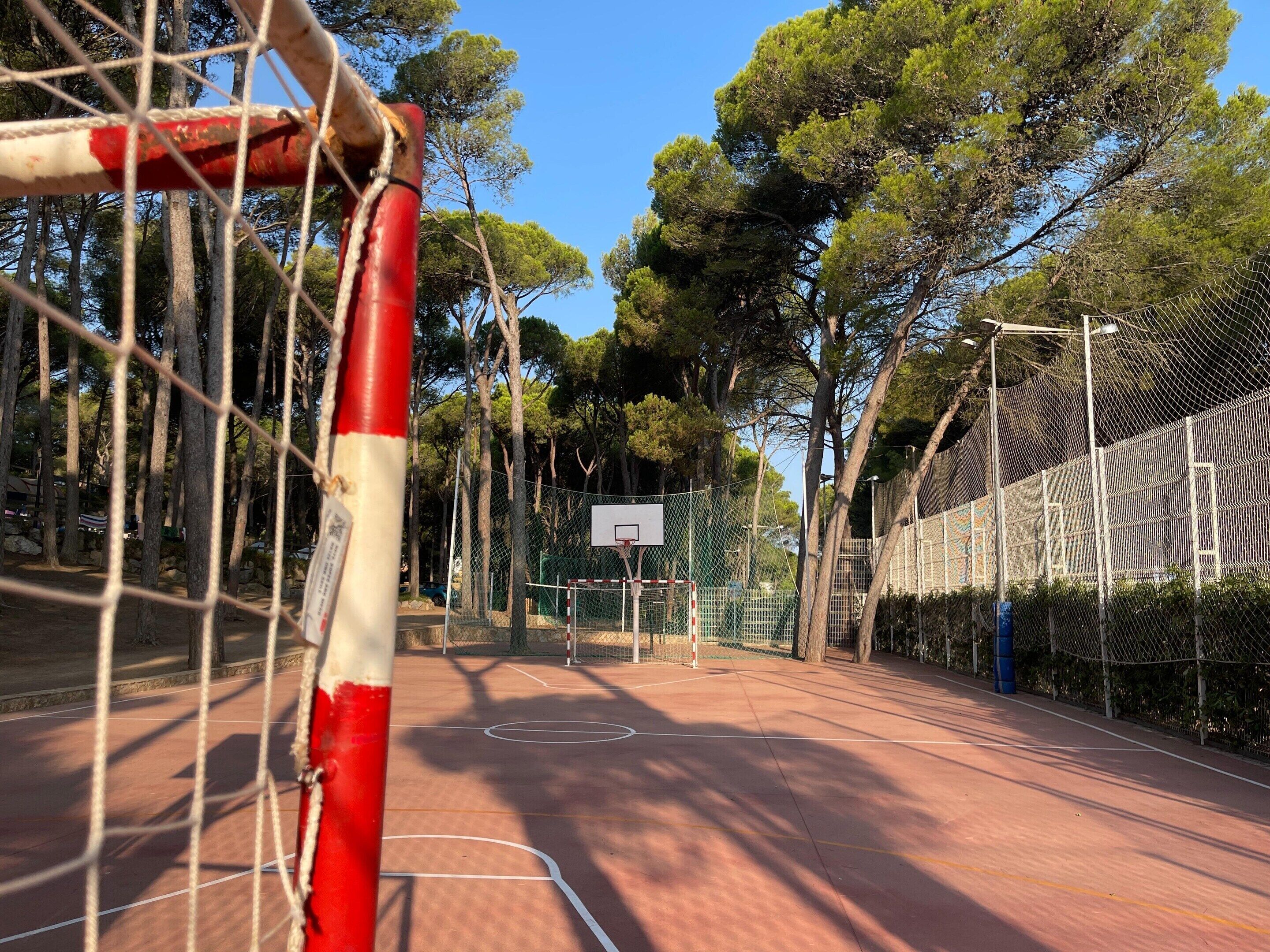 Quadra de basquete ao ar livre com um aro, cercada por árvores e uma cerca de arame.