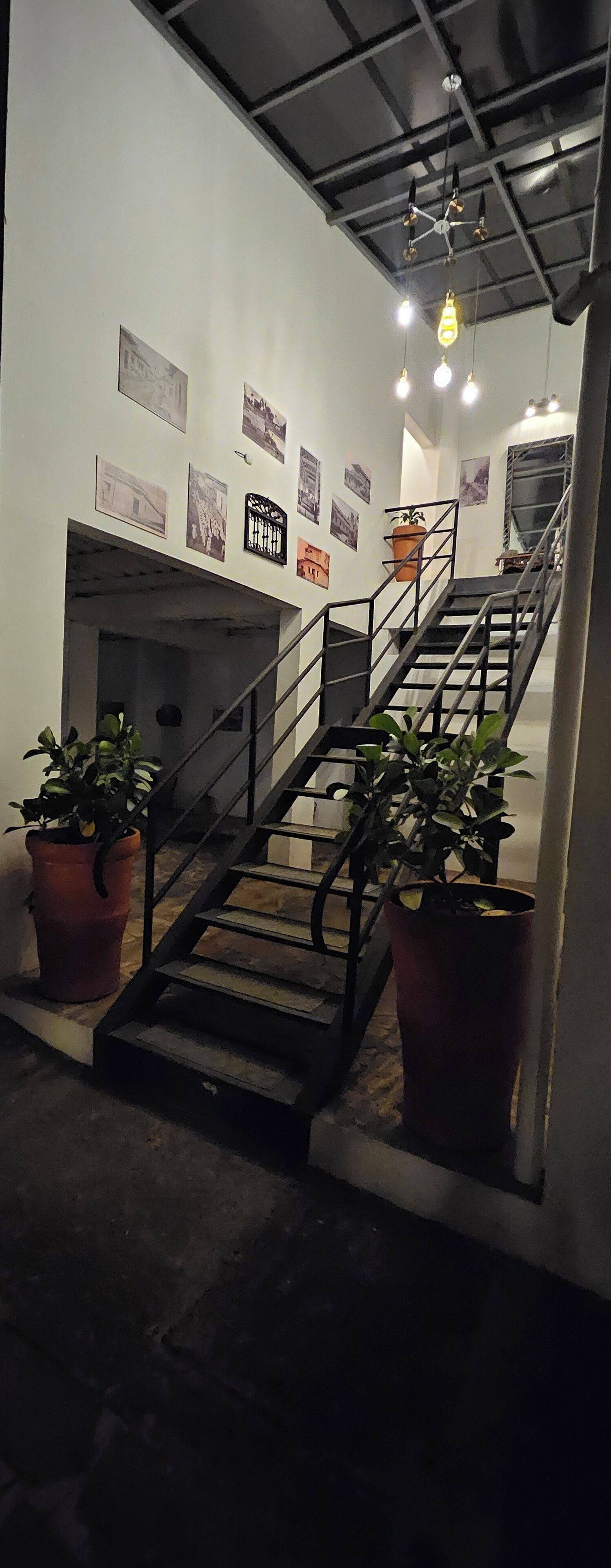 Uma escadaria com corrimãos de metal, plantas em vasos de cada lado e uma parede com quadros.