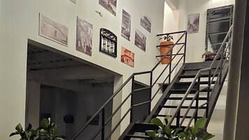 Uma escadaria com corrimãos de metal, plantas em vasos de cada lado e uma parede com quadros.
