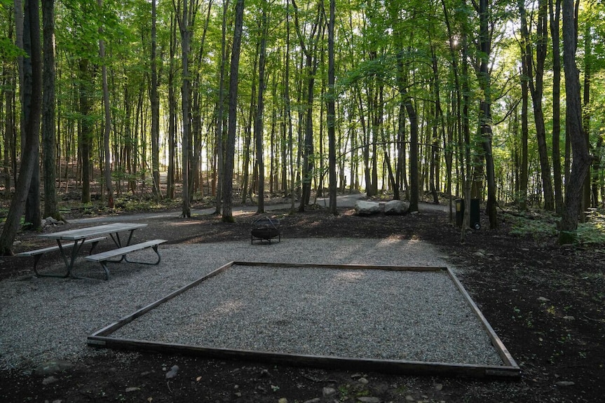 Primitive Camping Site - ニュー・ジャージー州