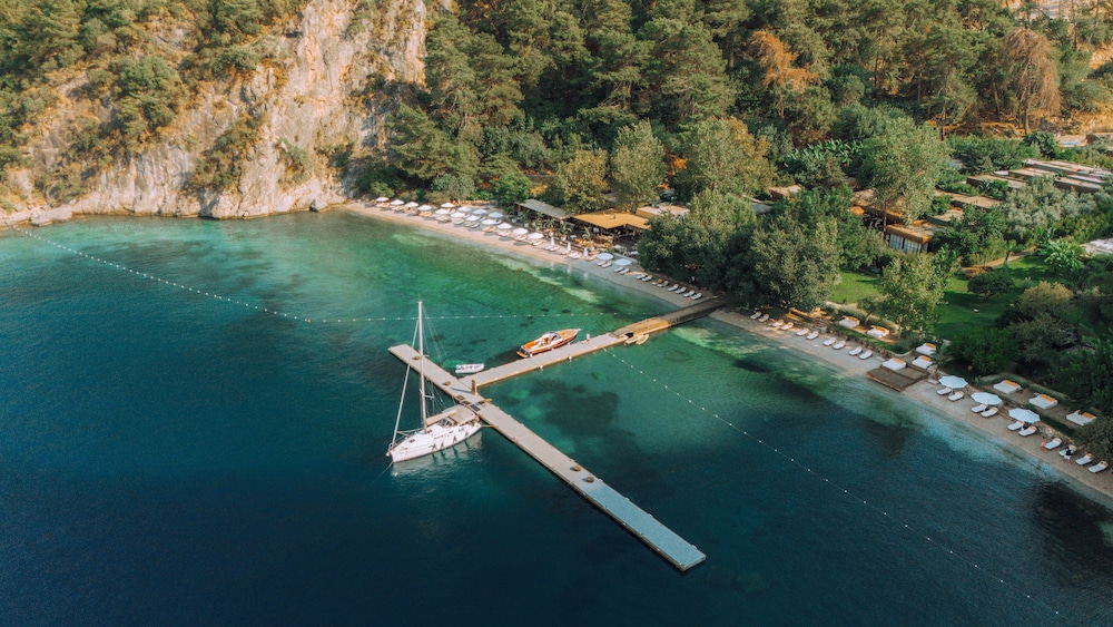 Yazz Collective - Hisarönü