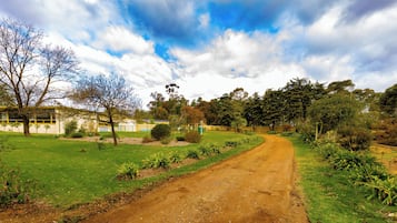 Jardim
