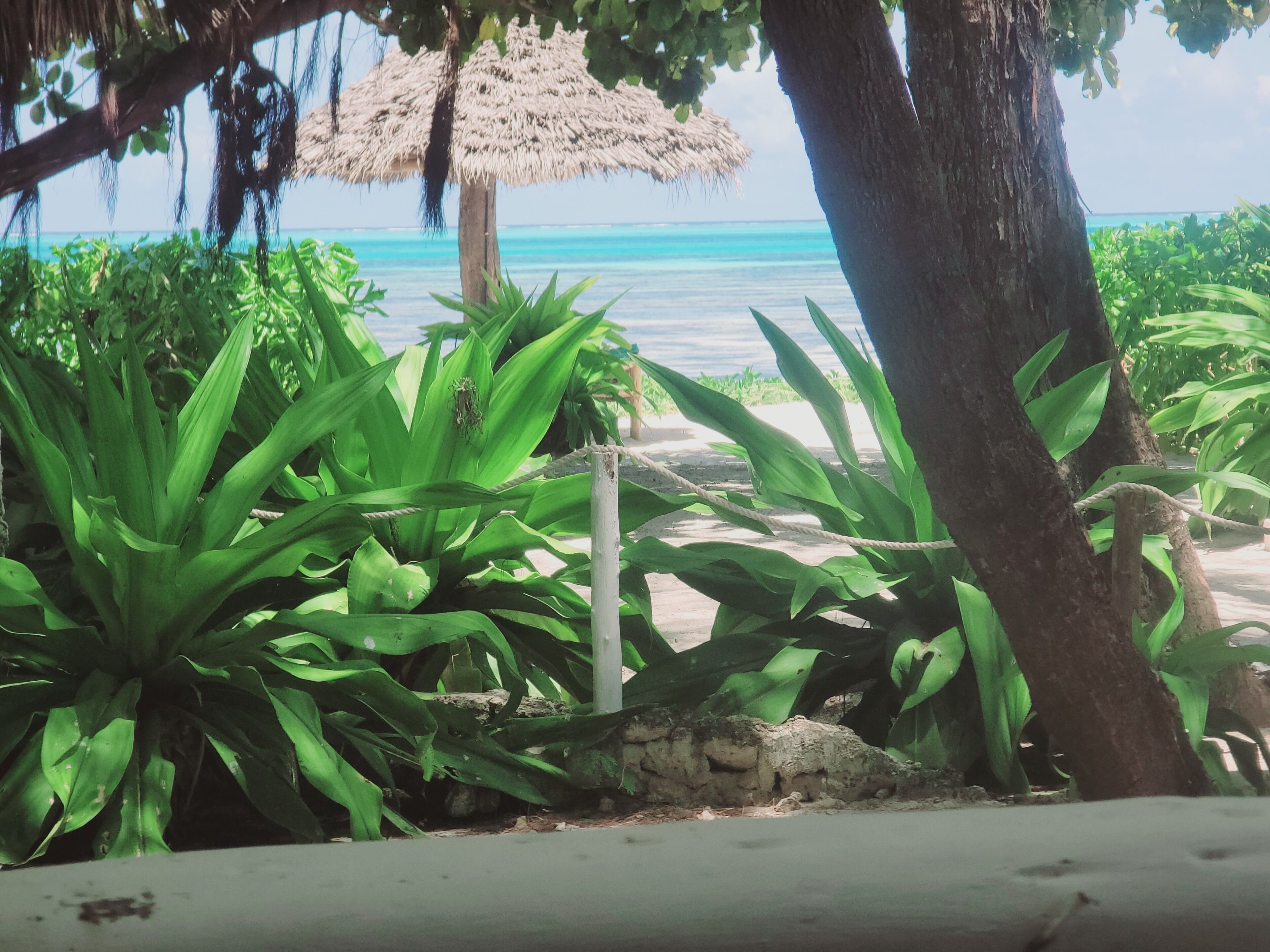 Quarto casal luxo, vista para o mar | Terraço/pátio