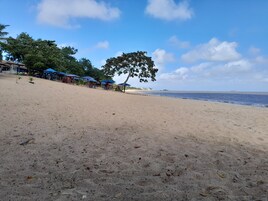Uma praia arenosa com algumas árvores e céu claro.