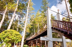 Terrenos do alojamento