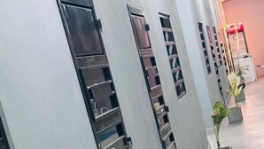 Corredor com paredes cinzentas e janelas com estrutura de metal. Há plantas em vasos ao longo da parede e um tapete amarelo no chão.