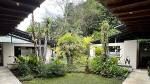 Um pátio coberto com uma área gramada central, rodeado por diversas plantas e árvores.
