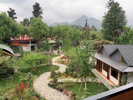 Um jardim com um caminho sinuoso, rodeado por diversas plantas e flores.
