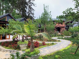 Um jardim com um caminho de pedra, rodeado por diversas plantas e flores.