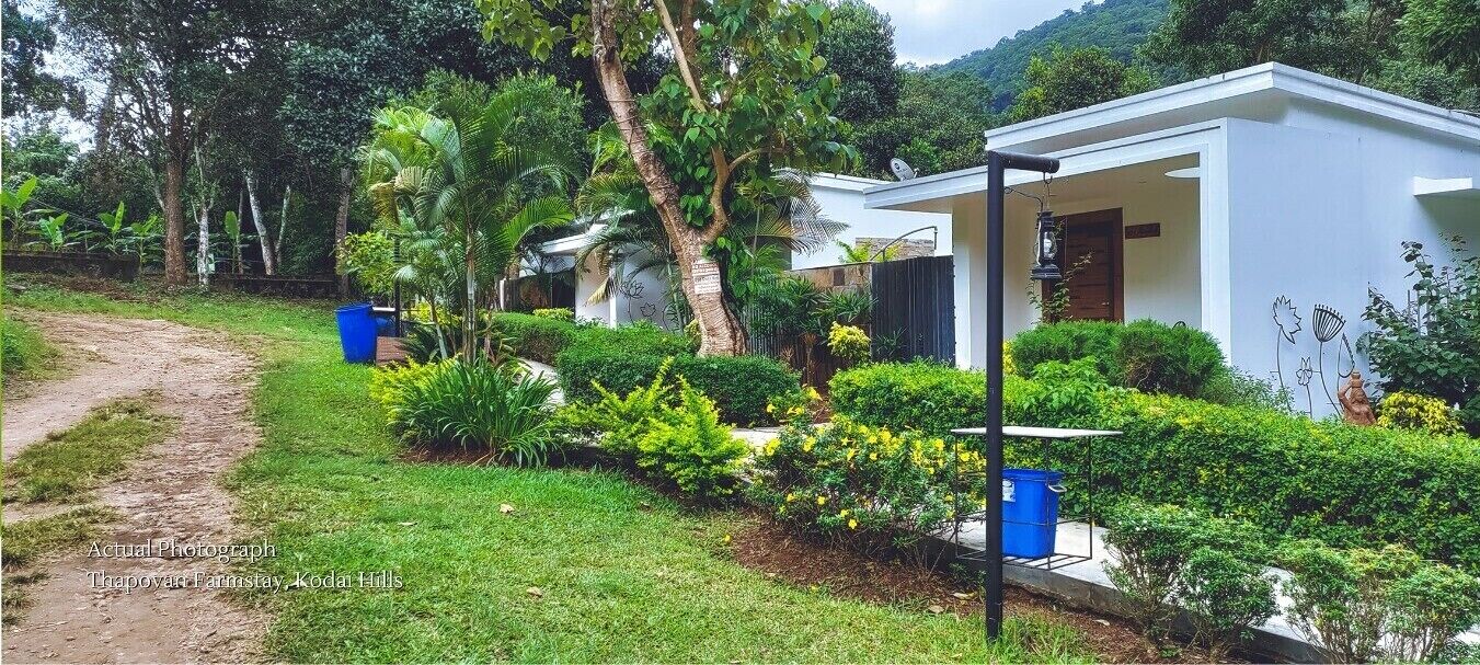 Quarto Clássico | Terraço/pátio interior