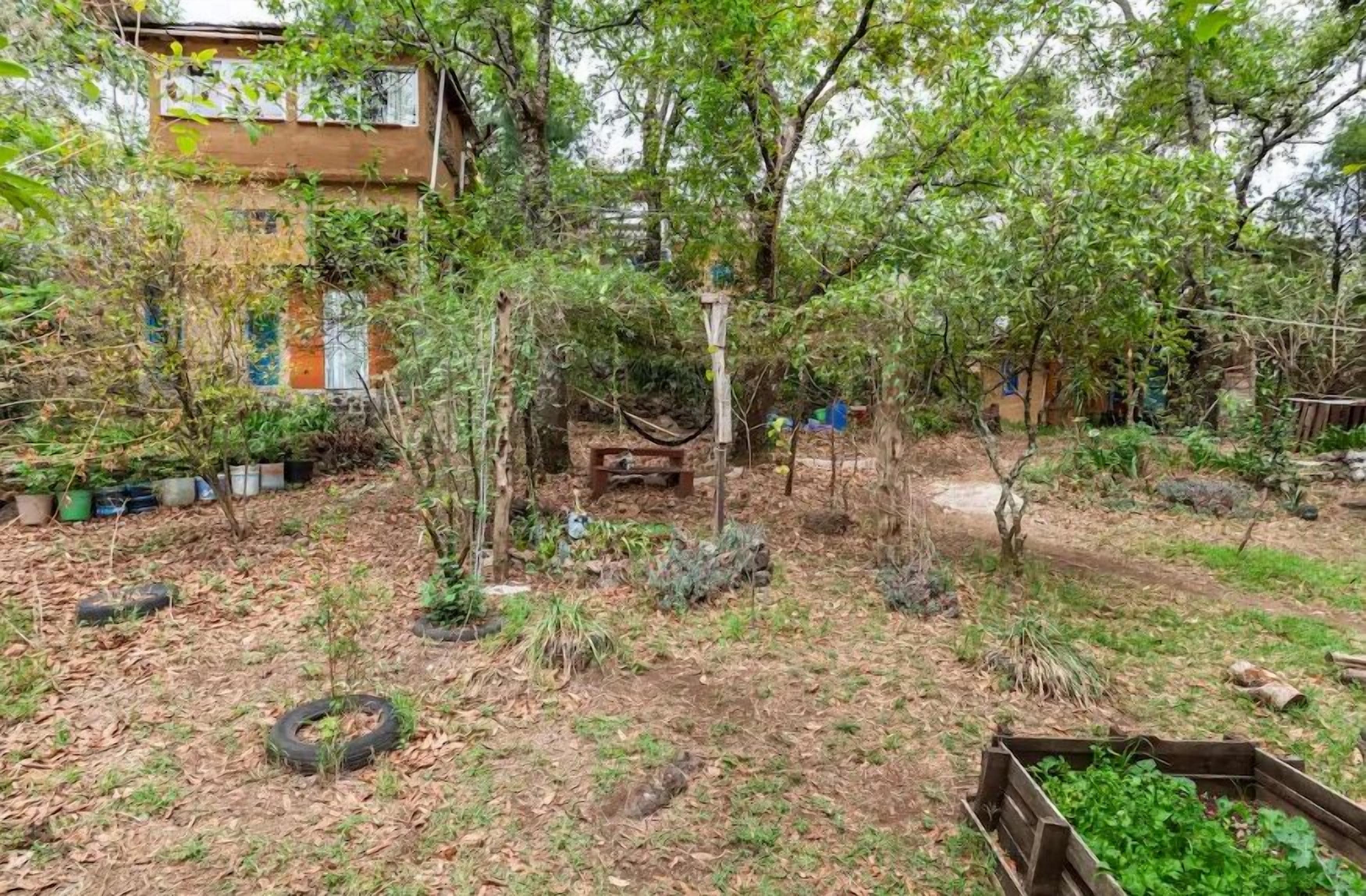 Uma área de jardim com diversas plantas, um banco de madeira e um canteiro feito com um pneu.