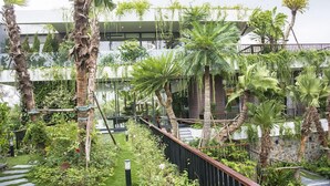 Um exuberante jardim interno com palmeiras e diversas plantas, uma escadaria e um edifício moderno com fachada verde.