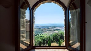 Vista através de uma janela em arco com paredes de pedra, revelando uma paisagem de vinhedos.