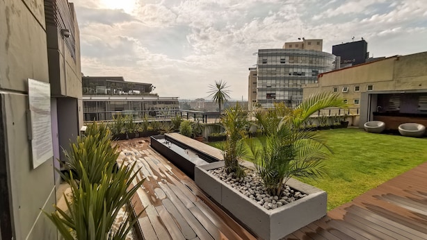 Terraço no telhado com deck de madeira, vasos com plantas e vista para a cidade.
