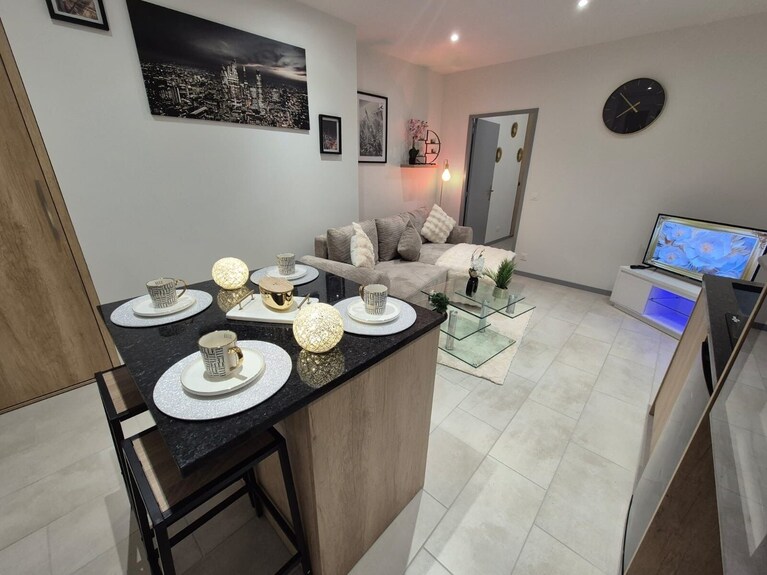 Luxurious Apartment 2 Steps From The Center - リモージュ