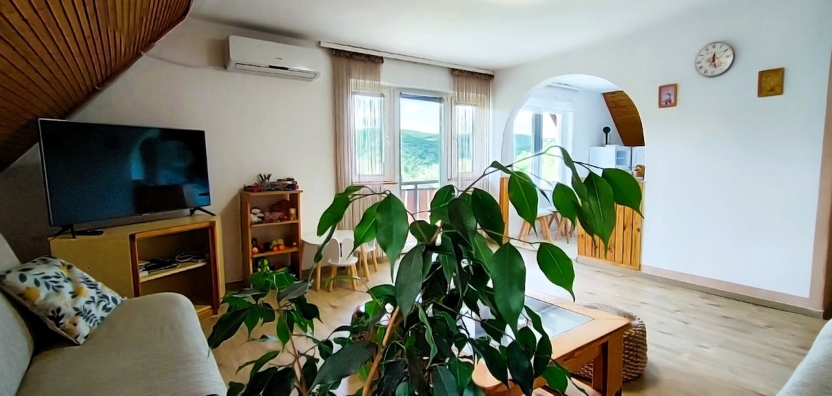 Charming 2-bedroom, Family Friend Cottage With Wifi And Ac In Fabulous Miskolc - Miskolctapolca