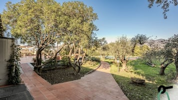 Jardim