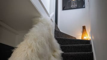 Casa | Interior