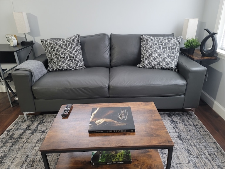 Cozy 1-bedroom With Wifi And Ac In Charming Ypsilanti - Ypsilanti, MI