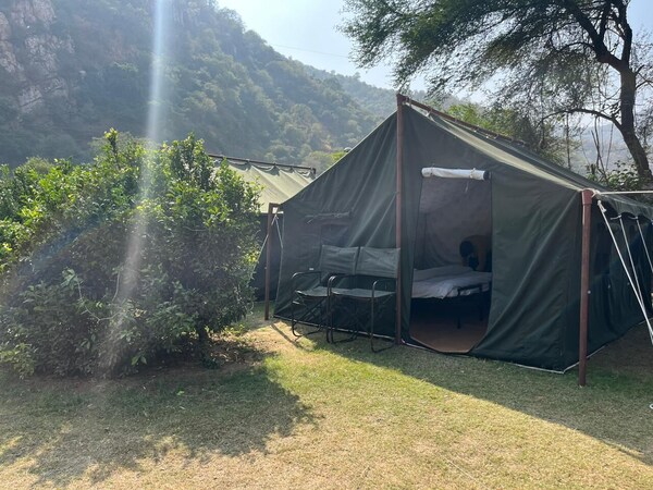 バラ キャンプ - ラージャスターン