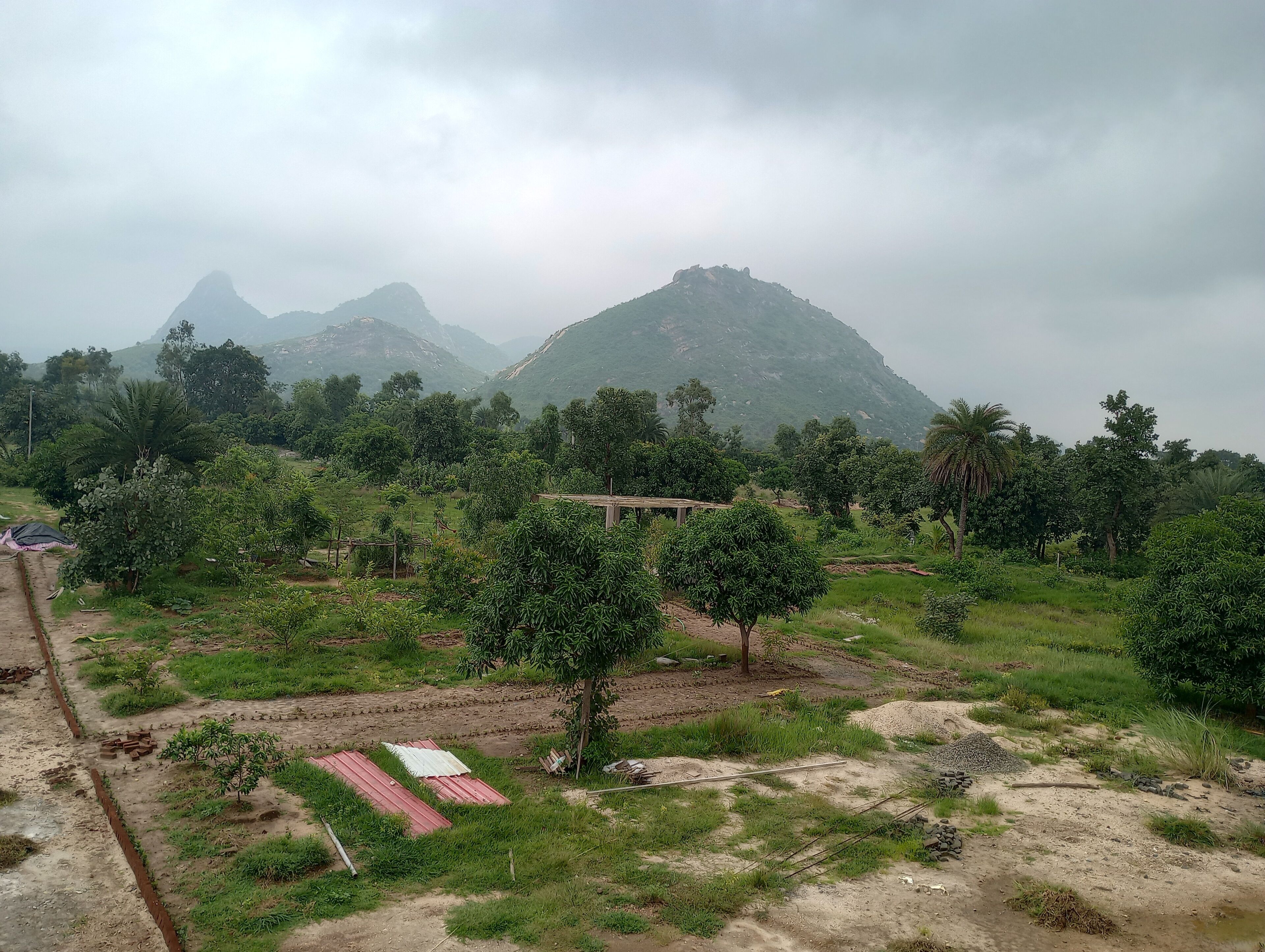 Paisagem rural com estrada de terra, árvores dispersas e uma pequena construção com telhado de chapa metálica.