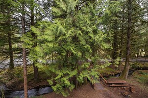 Apartamento, 1 quarto, fumadores, lareira | Terrenos do alojamento