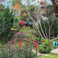 Um jardim com uma ponte vermelha, diversas plantas e uma escadaria que leva a um edifício.
