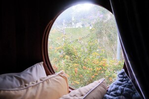 Uma janela com vista para um jardim cheio de árvores e flores.