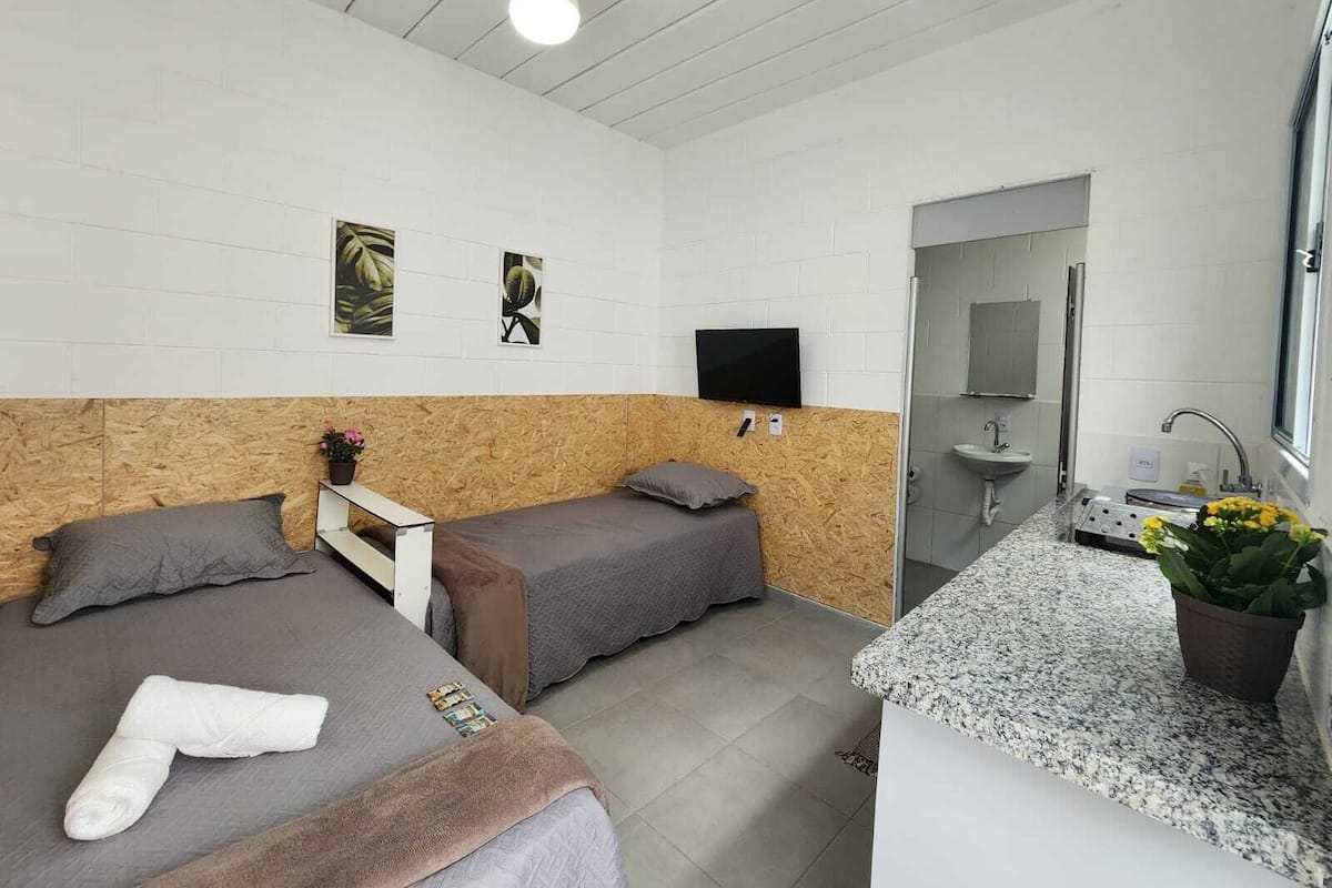 Quarto com duas camas, televisão, mesinha com planta e banheiro com pia e espelho.