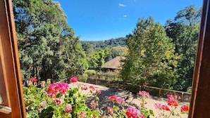 Vista da janela com jardim, flores cor-de-rosa e uma casa ao fundo.