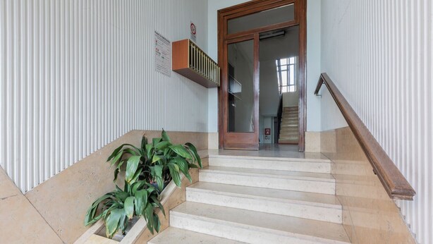 Uma escadaria com corrimão de madeira, degraus bege e plantas em vasos na base.