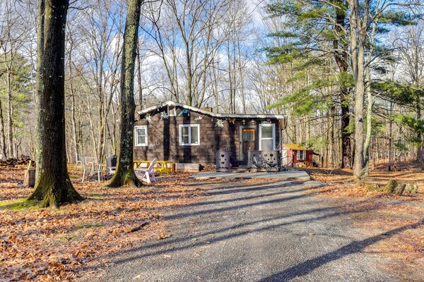 Mtn Views + On-site Hiking Trails: Catskills Cabin - Catskill, NY