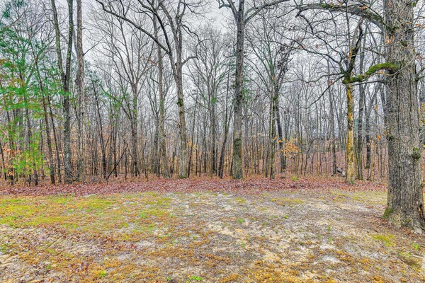 Kentucky Lake Retreat Near Marina & Launch! - Kentucky Lake