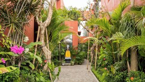 Um caminho ladeado por vegetação exuberante e um edifício com fachada vermelha.