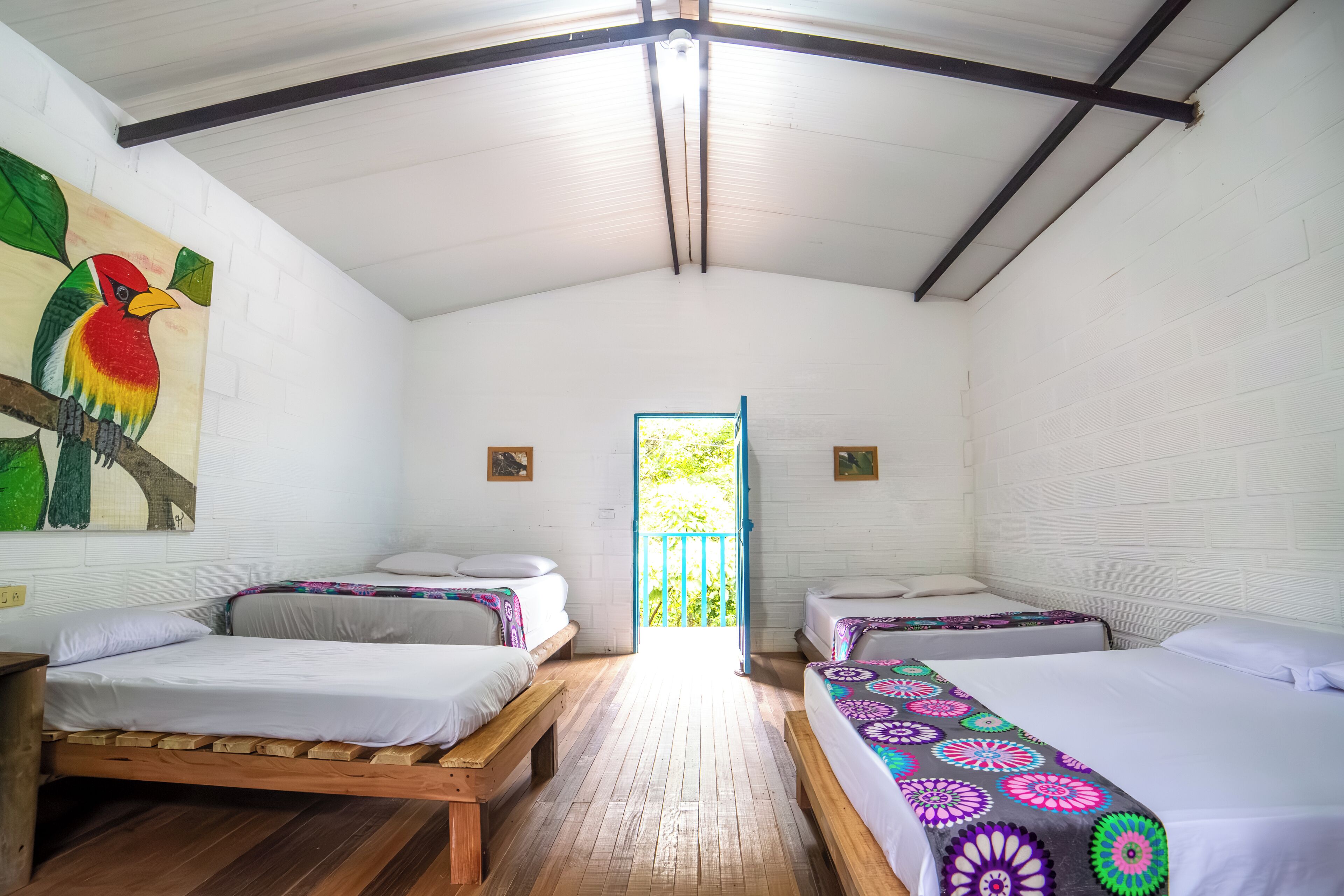 Quarto com três camas de madeira, paredes brancas e um mural colorido de um pássaro.