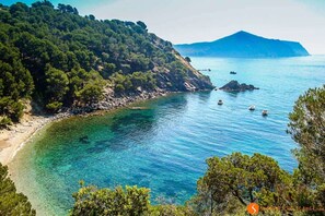 Paisagem costeira com águas azul-claras, costas rochosas e vegetação densa.